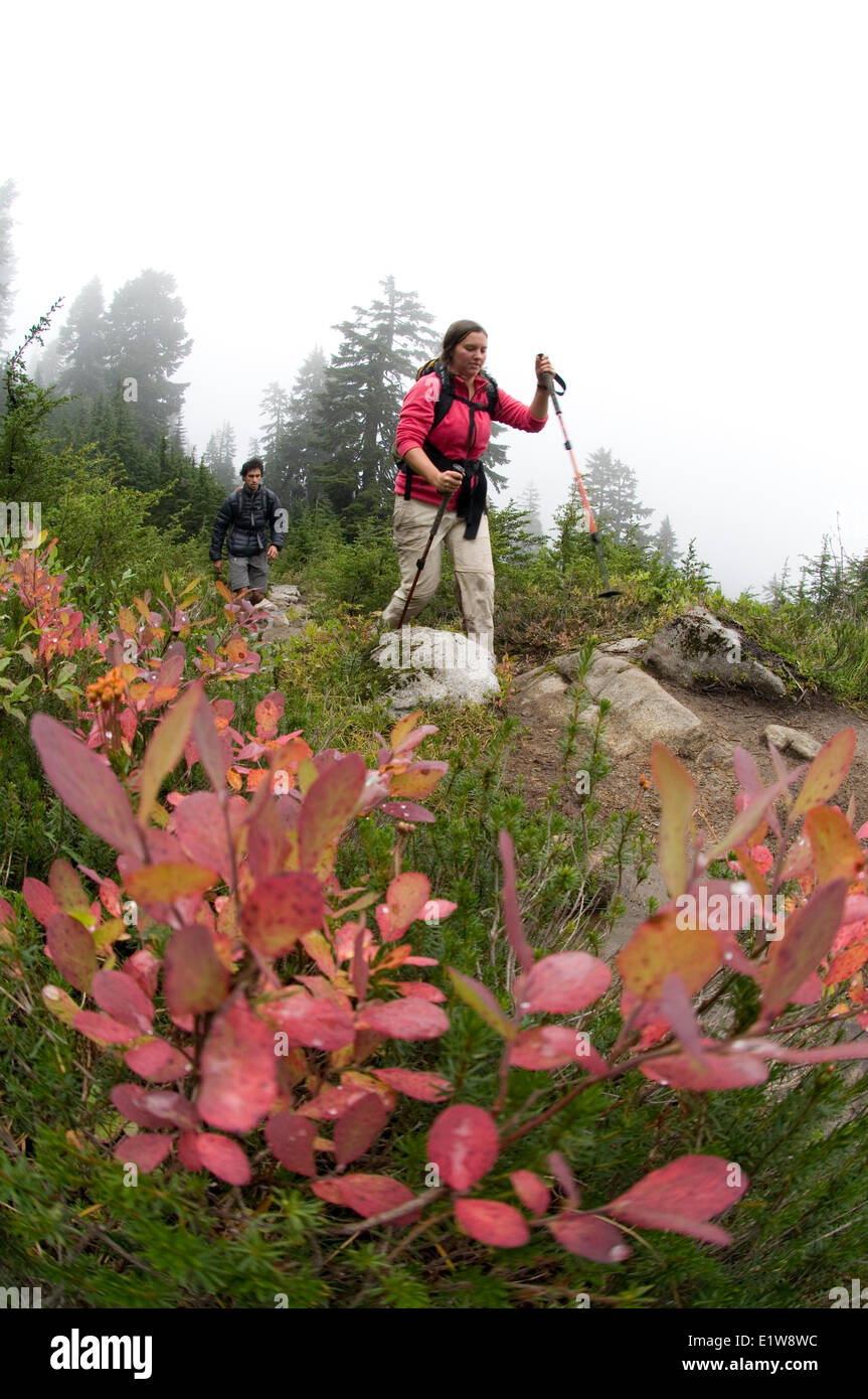 Hiking the Alpine Trail to Crown Mountain from Grouse Mountain, North ...