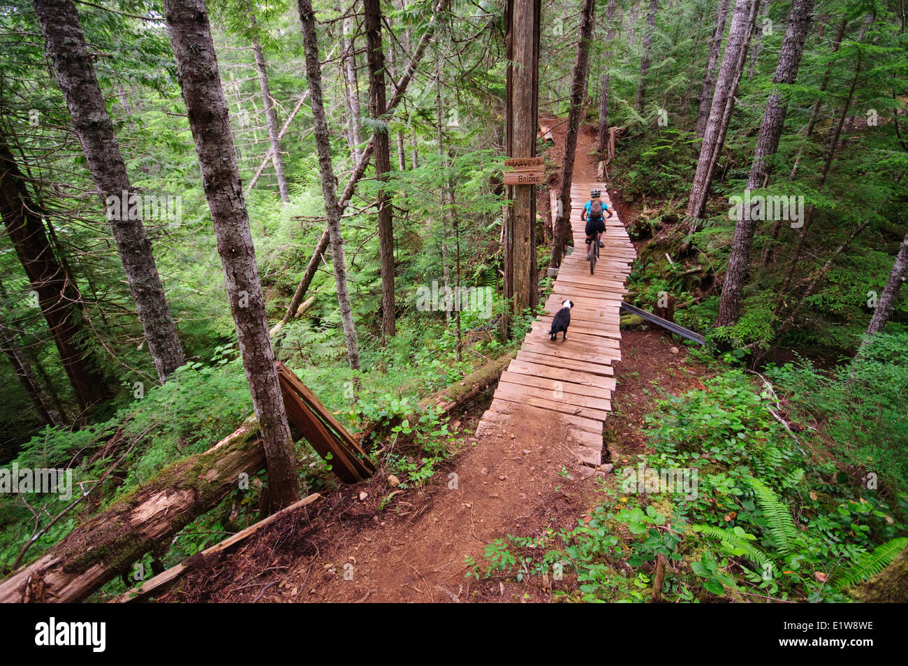 Mountain biking in Cumberland, Vancouver Island, British Columbia ...