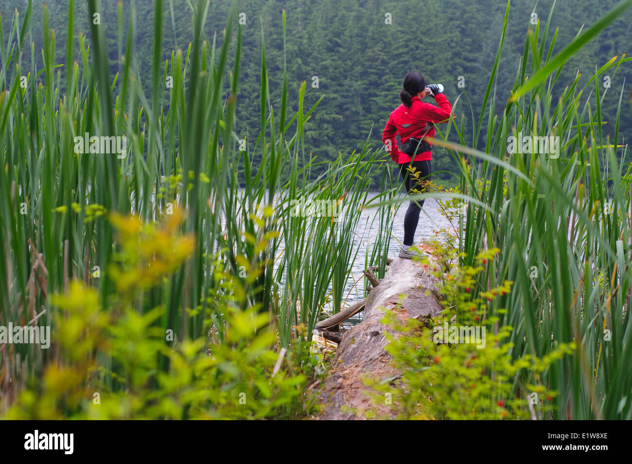 Running and hiking on the trail around Sasamat Lake, Belcarra Regional ...