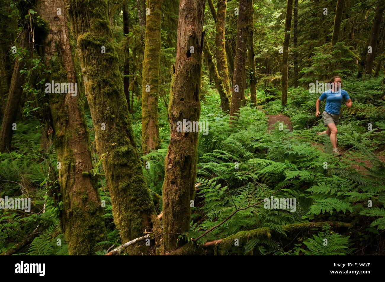 Trail running on the Four Lakes Trail at Alice Lake Provincial Park ...