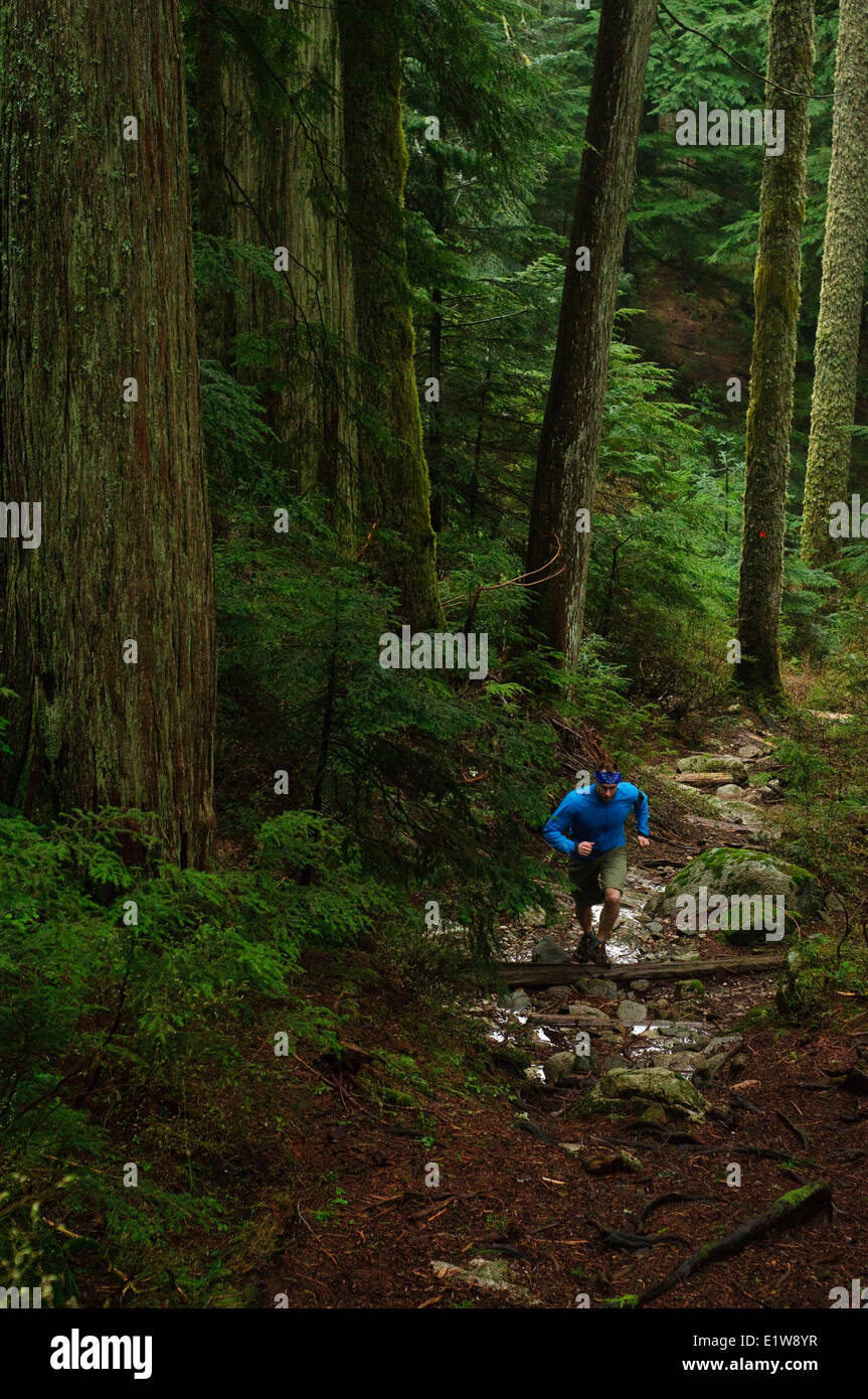 Trail running on the Brothers Creek Loop. Hollyburn Mountain. West ...
