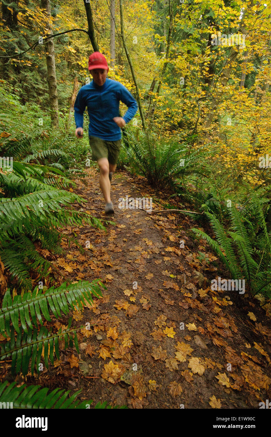 Autumn trail running on Mel's Trail. Burnaby Mountain, British Columbia ...