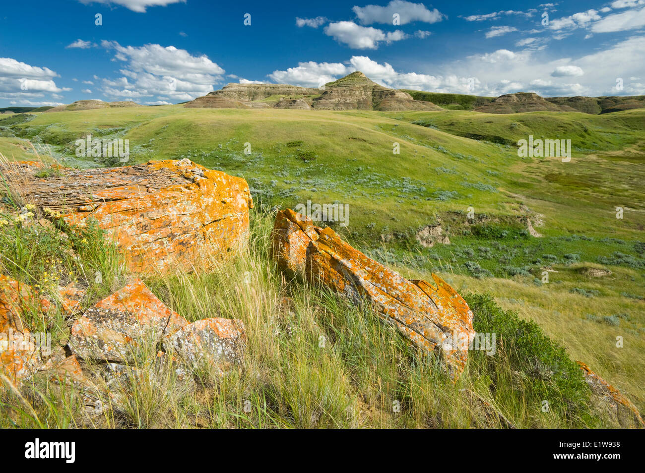 Killdeer Badlands, East Block, Grasslands National Park, Saskatchewan ...
