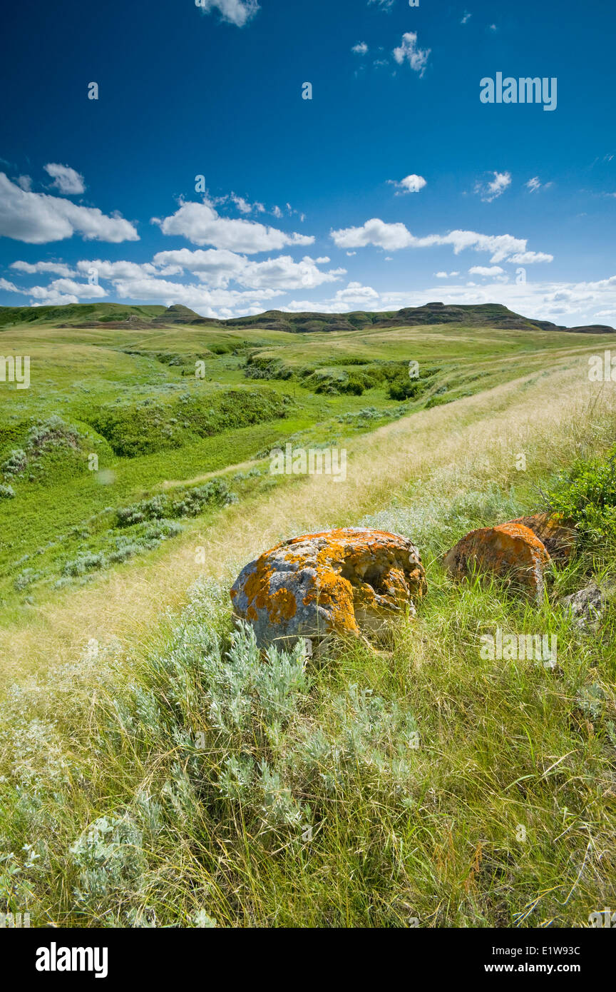 Badlands east block grasslands national hi-res stock photography and ...