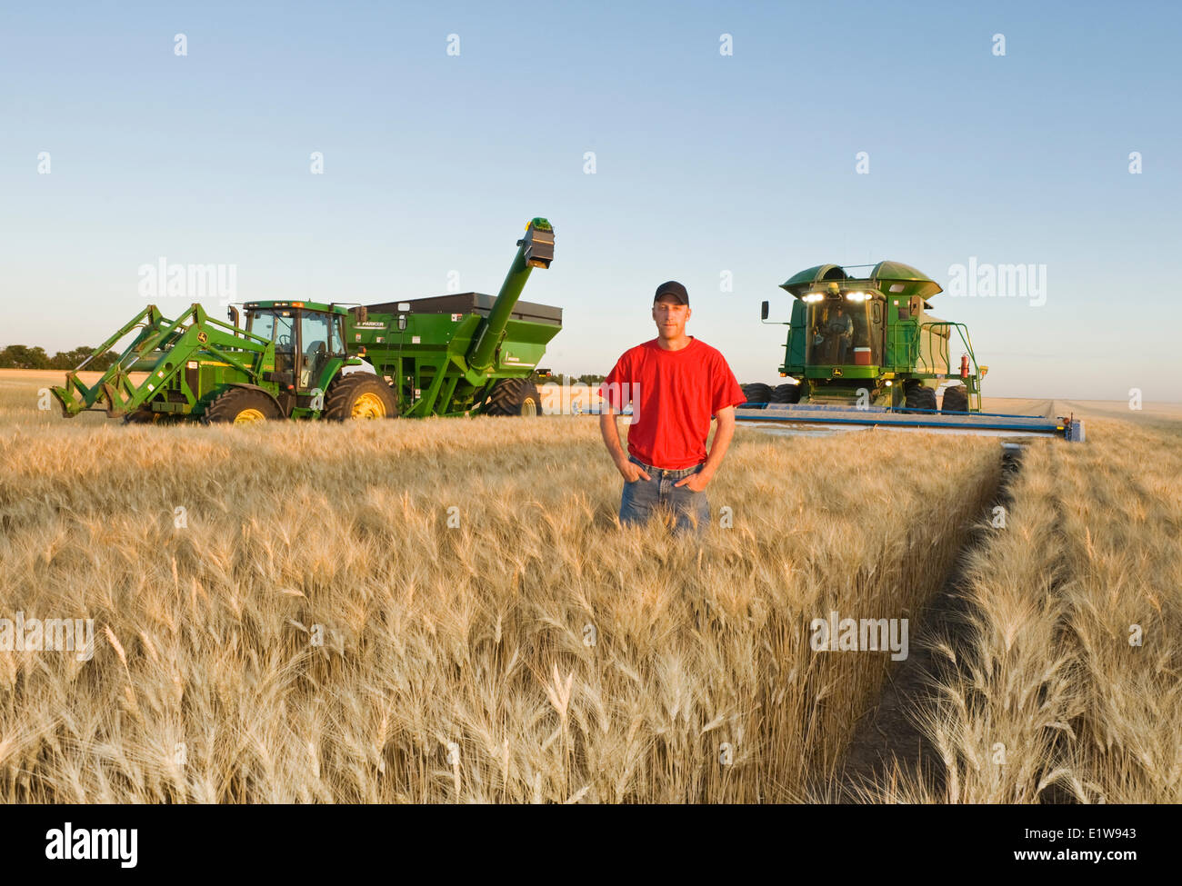 Young farmer in his mature durum wheat field during the harvest grain ...