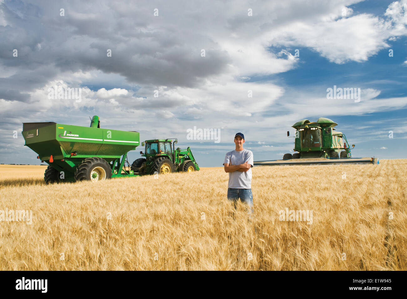 Young farmer in his mature durum wheat field during the harvest grain ...