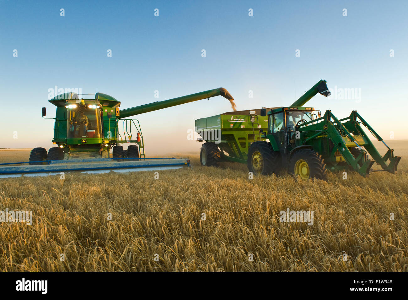 Combine unloads barley into a grain wagon on the go during the harvest ...