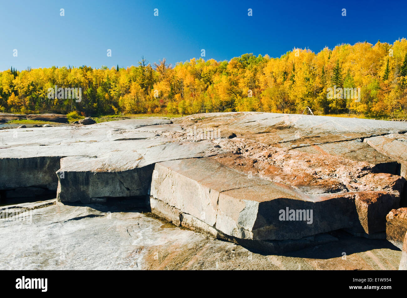 Precambrian shield rock along the Winnipeg River with autumn colors in ...