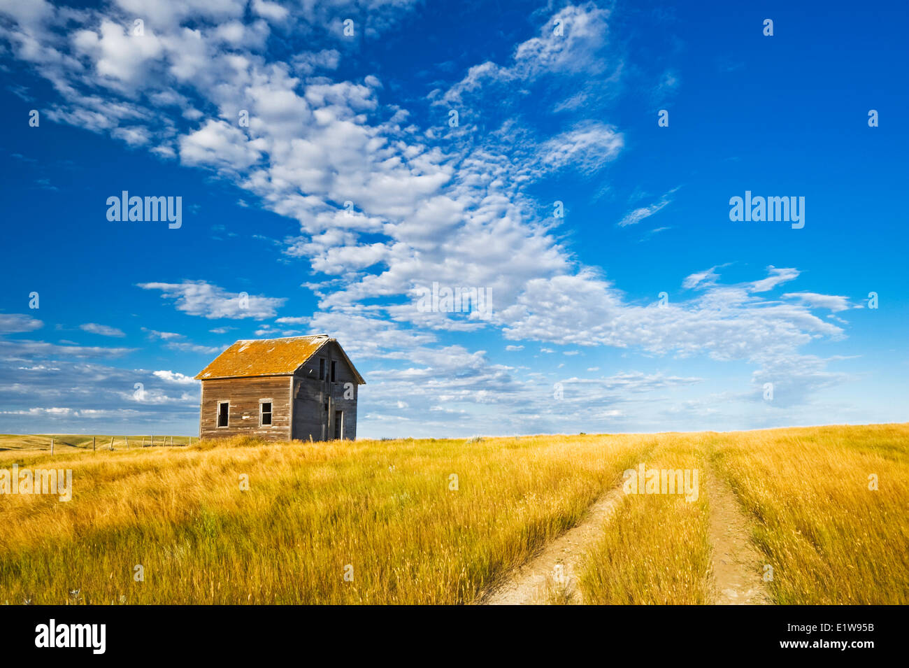 High house farm farmhouse hi-res stock photography and images - Alamy