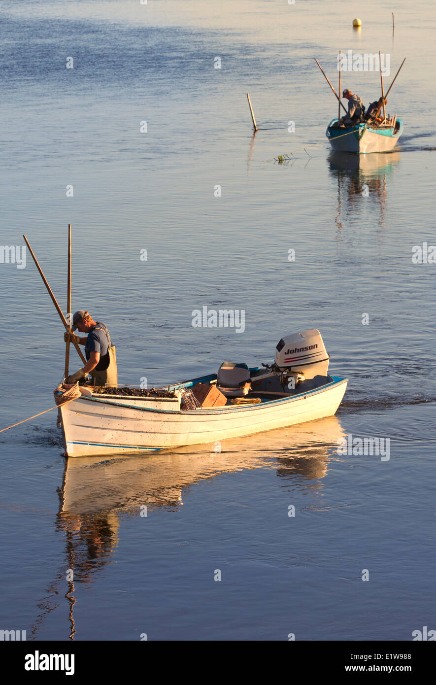 Oyster fisherman, Cascumpec Bay, Prince Edward Island, Canada Stock ...