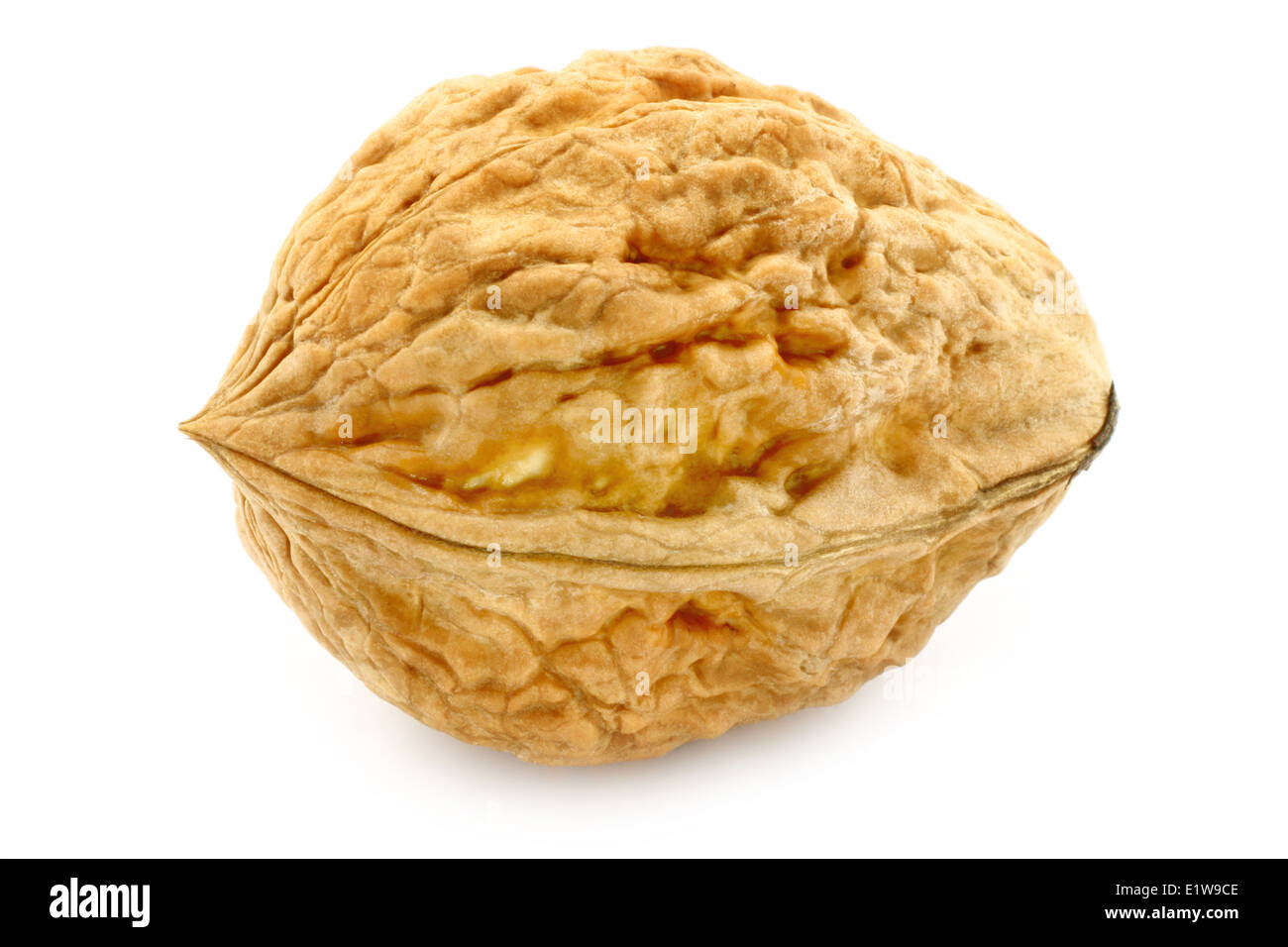 Single walnut on a white background Stock Photo - Alamy