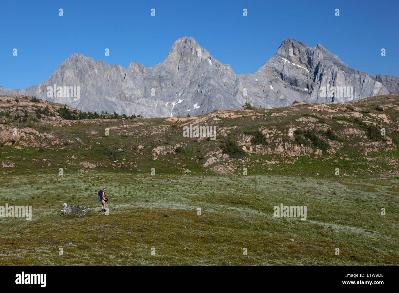 Hiker at Limestone Lakes Basin Stiletto Peak Mt Battisti Mount ...