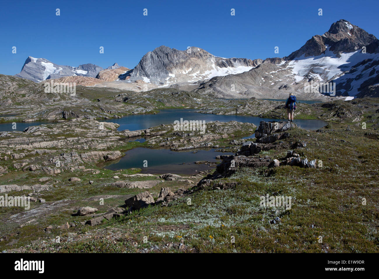 Hiker in Upper Limestone Lakes Basin Mount Abruzzi Mount Lancaster ...
