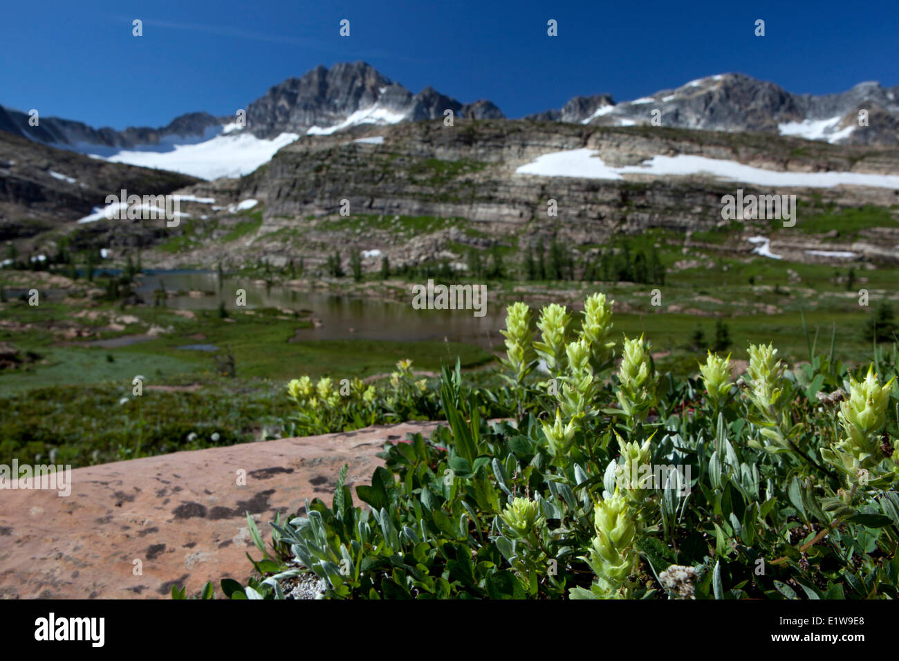 Paintbrush, Lower Limestone Lakes Basin and Russell Peak, Height of the ...