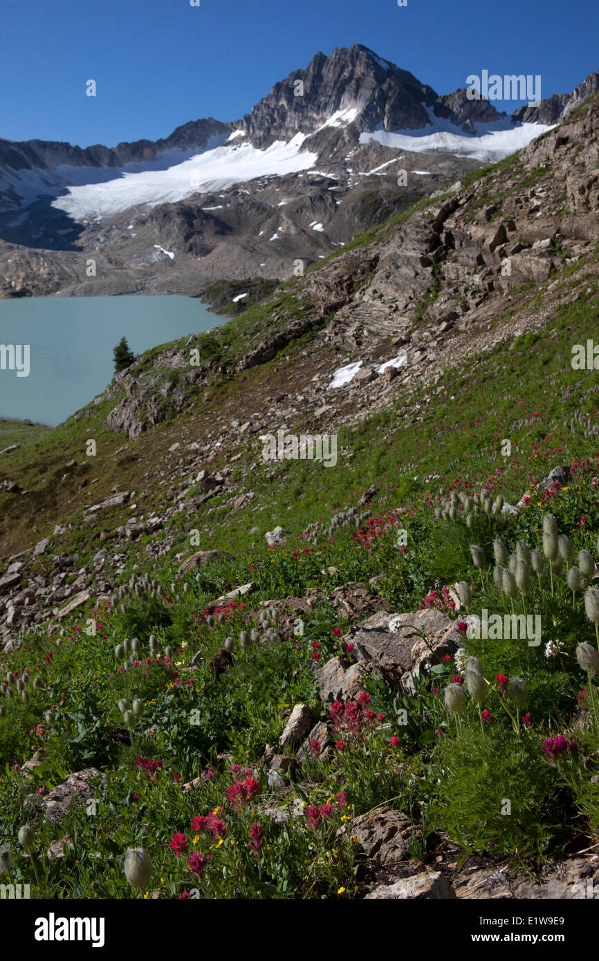 Paintbrush and Russell Peak Above Limestone Lakes, Height of the ...