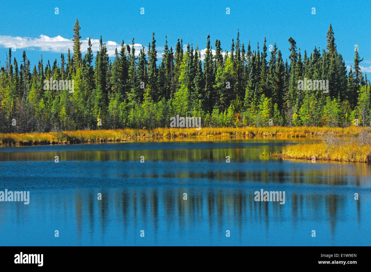 Lake in boreal forest, near Ft. Smith, Northwest Territories, Canada ...