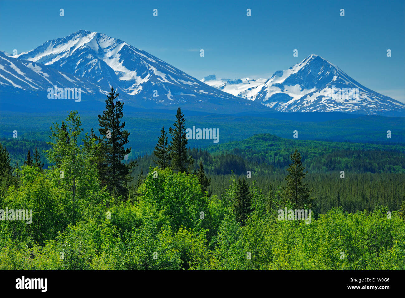 Cassiar british columbia hi-res stock photography and images - Alamy