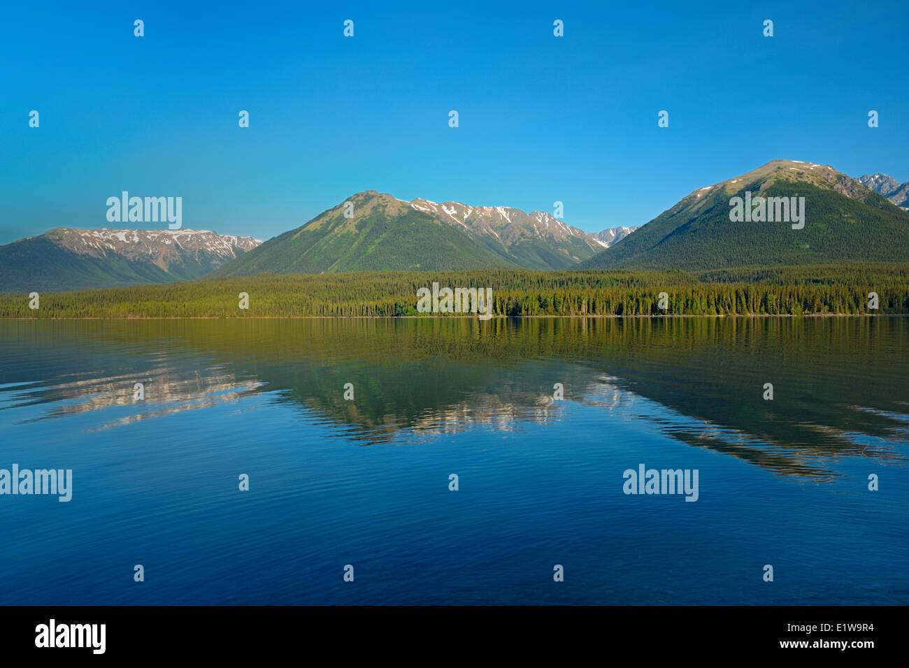Coast Mountains and Eddontenajon Lake, near Iskut along the Stewart ...
