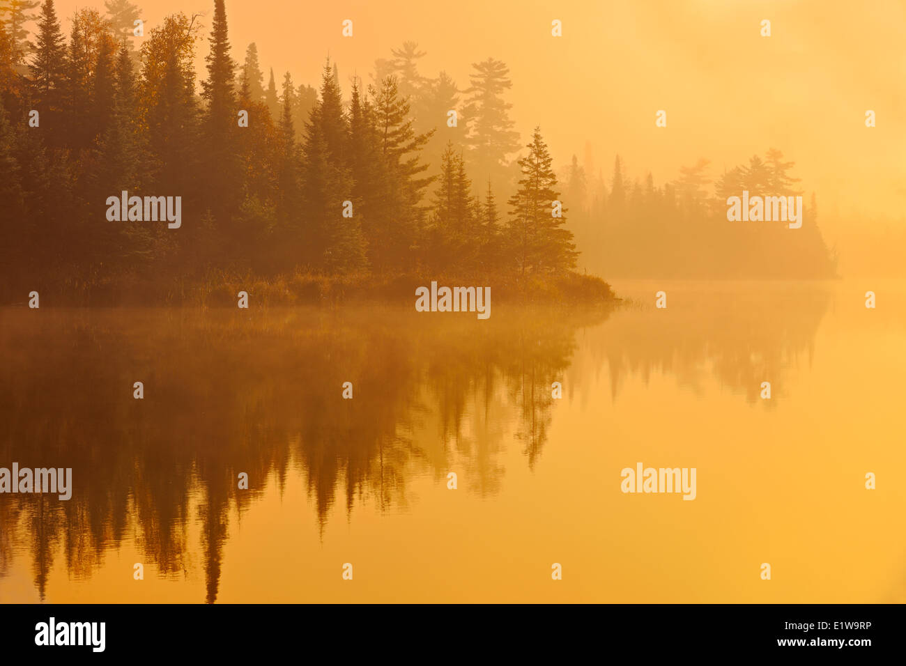 Early morning fog at Lyons Lake, Whiteshell Provincial Park, Manitoba ...