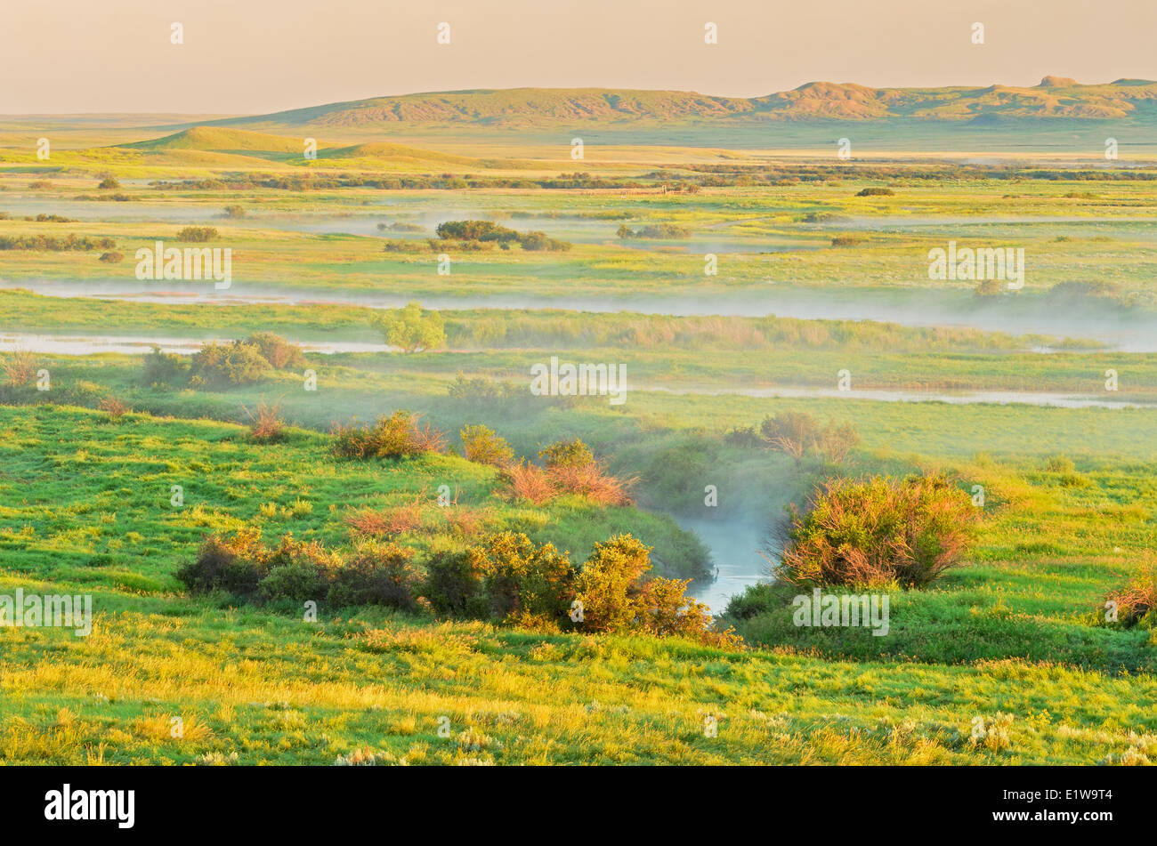 Prairie grasslands at sunrise with fog, Grasslands National Park ...