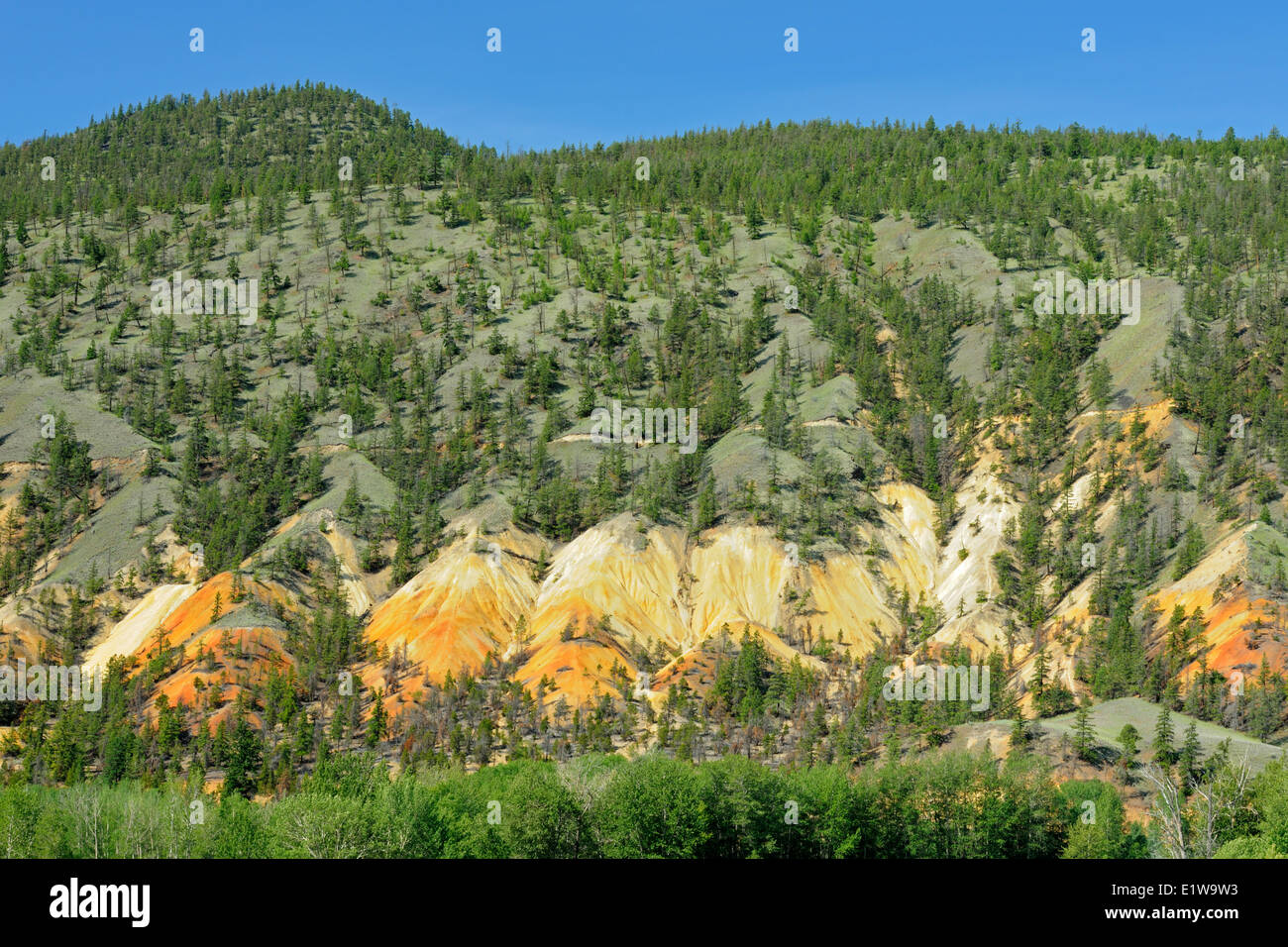 Clay formations of Interior, near Hat Creek, British Columbia, Canada ...