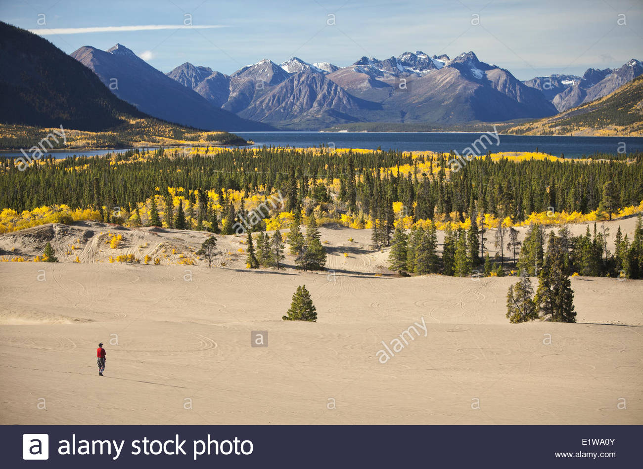 Carcross Desert Stock Photos & Carcross Desert Stock Images - Alamy