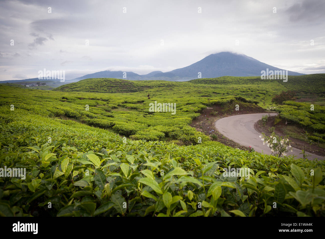 Gunung kerinci hi-res stock photography and images - Alamy