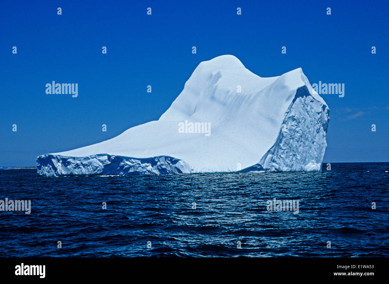 Iceberg floating in the Atlantic Ocean, Newfoundland , Canada Stock ...