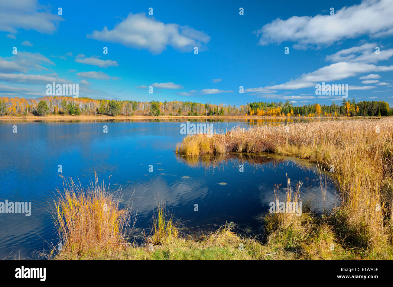Kenora waterfront hi-res stock photography and images - Alamy