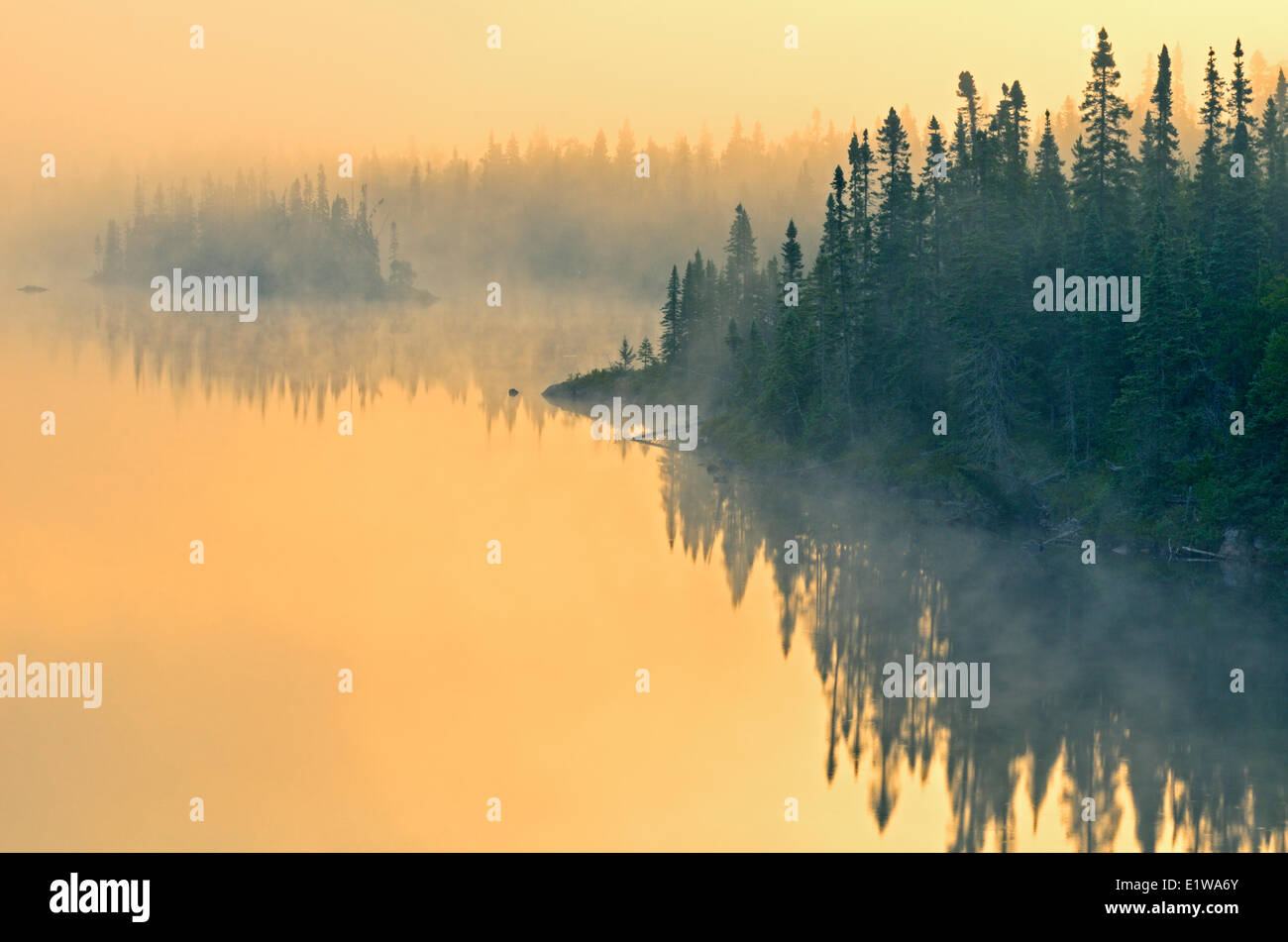 Schreiber color hi-res stock photography and images - Alamy