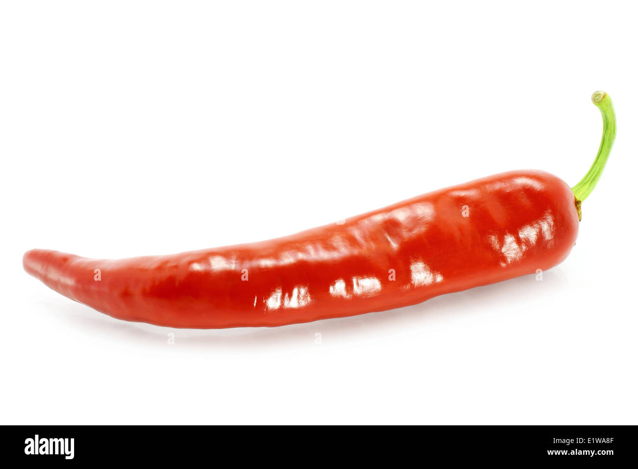 Single red hot chili pepper on a white background Stock Photo - Alamy