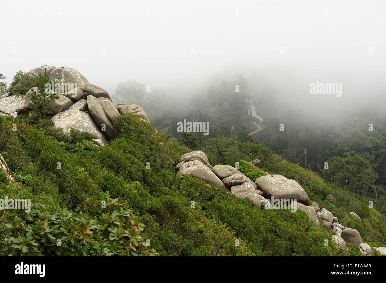 day at mist, mountains and green forest Stock Photo - Alamy