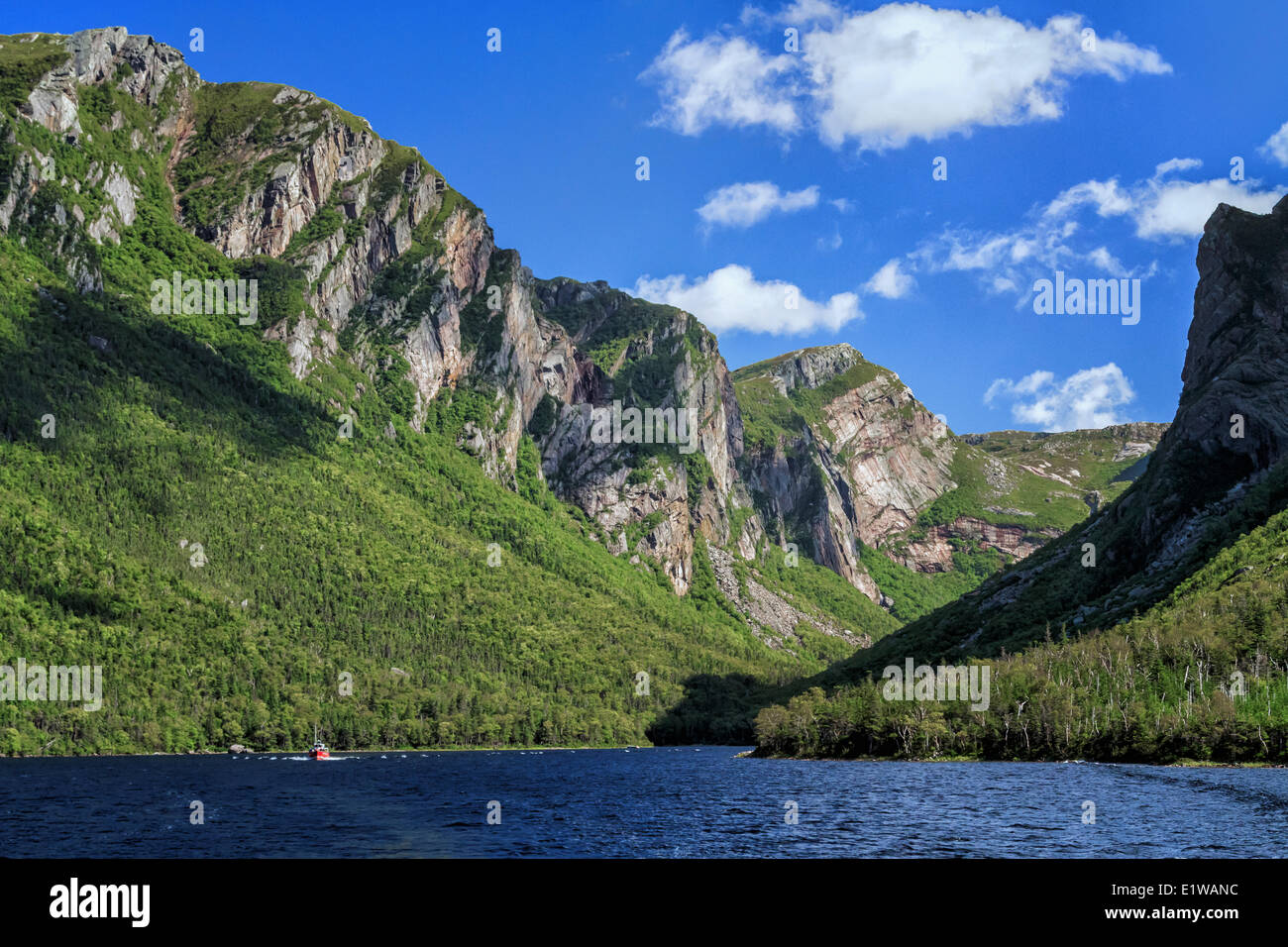 The western brook pond fjord hi-res stock photography and images - Alamy