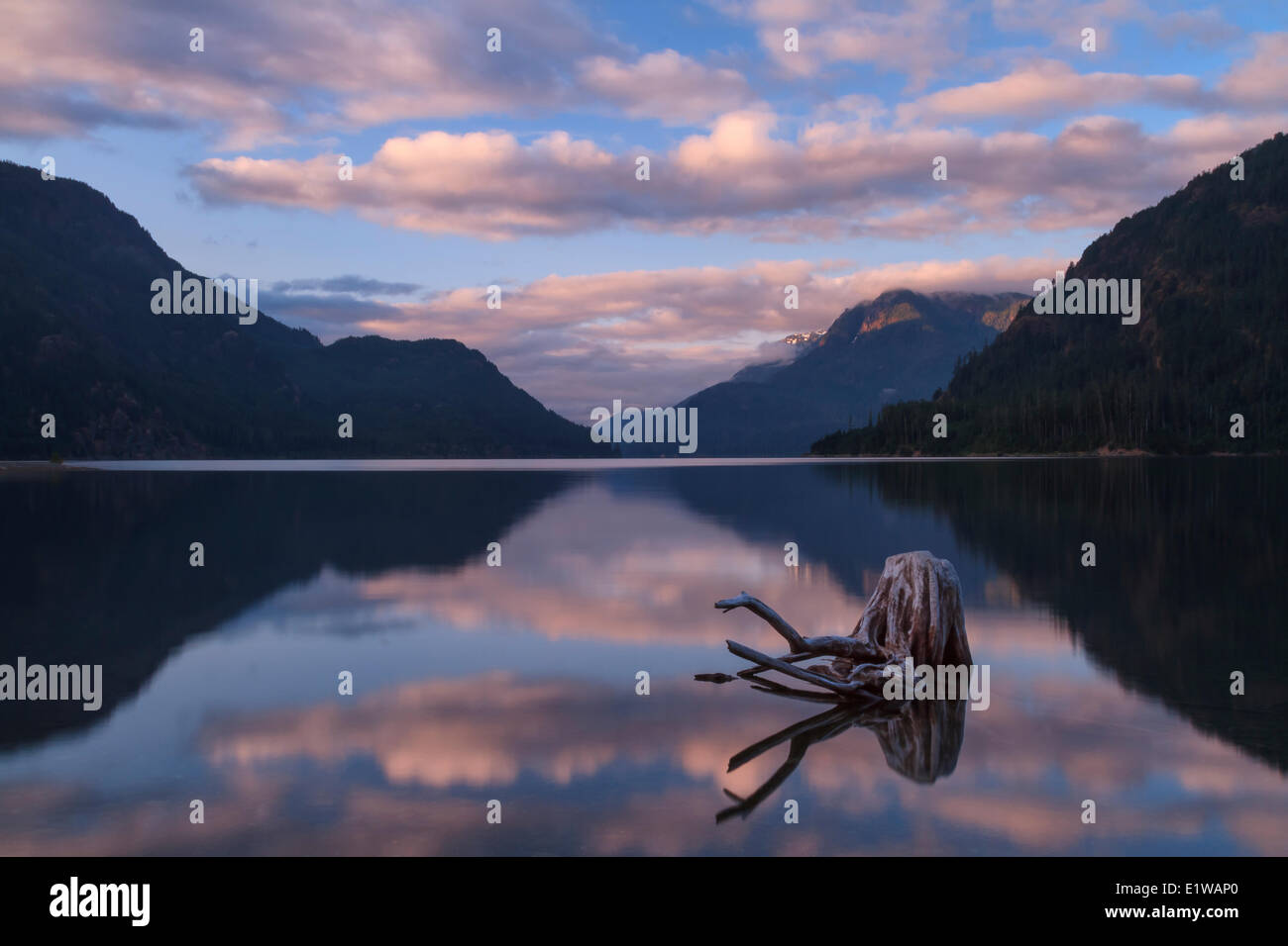 Buttle Lake High Resolution Stock Photography and Images - Alamy