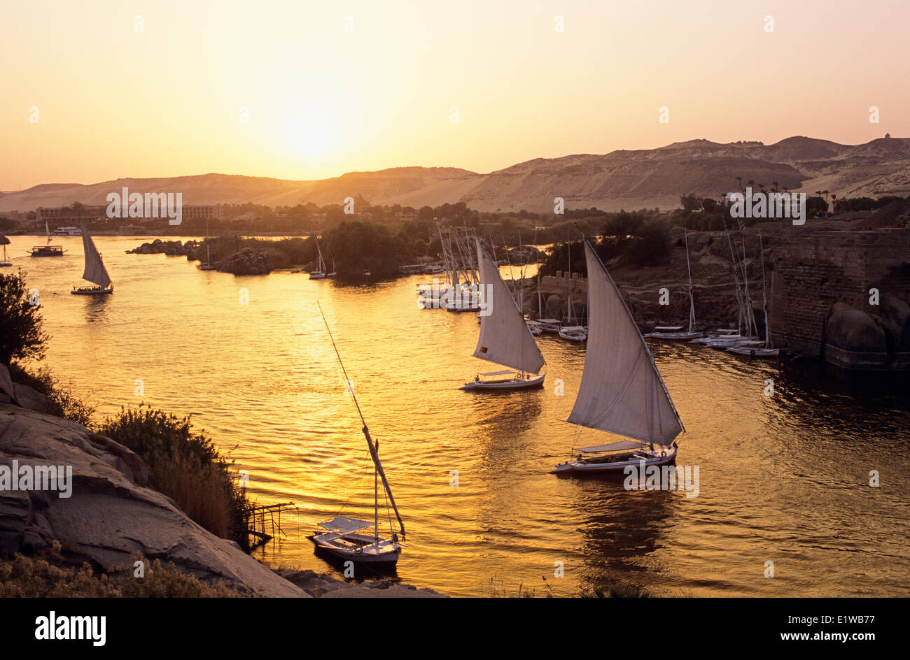 Feluccas on the nile river at sunset hi-res stock photography and ...