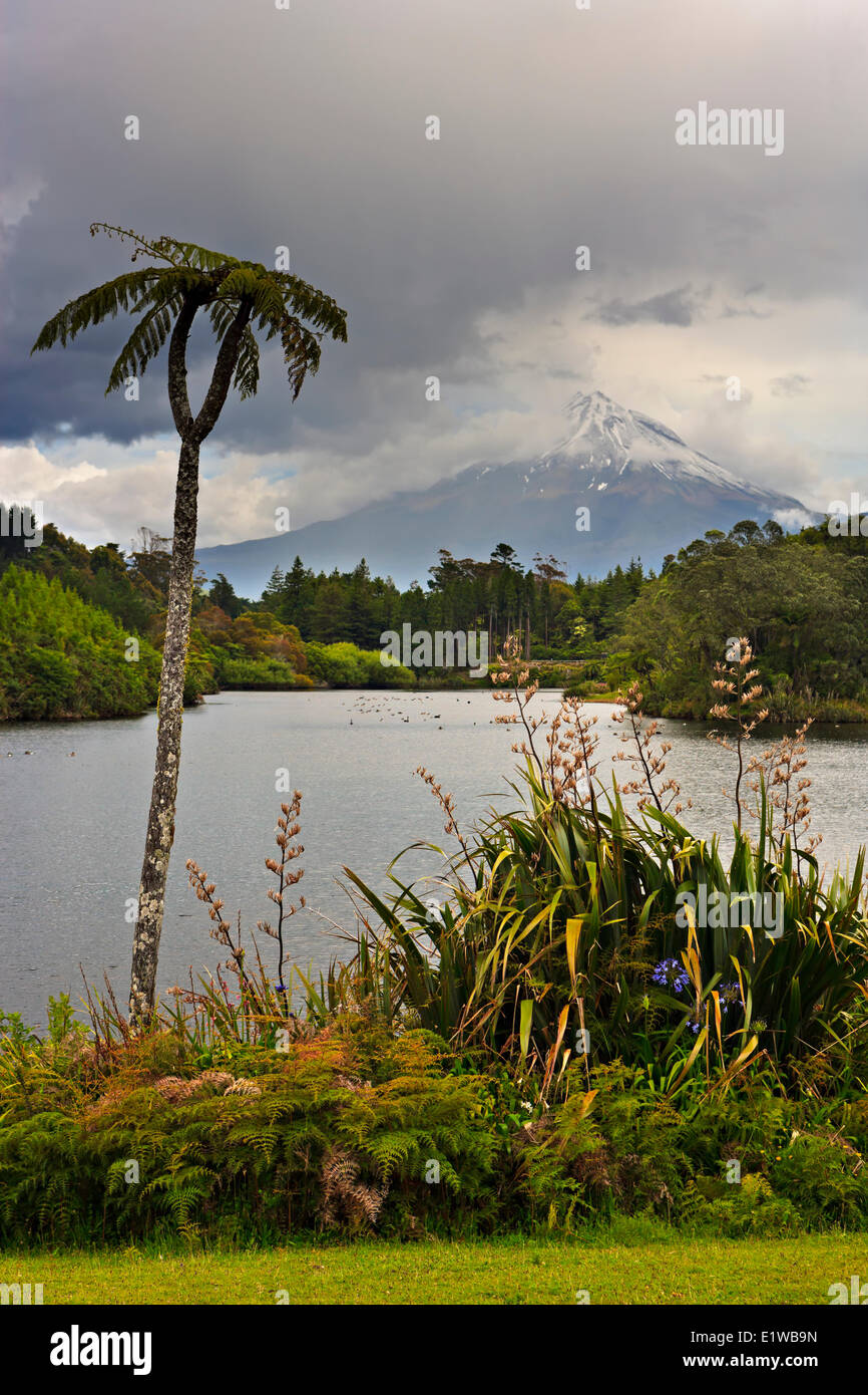 Mangorei hi-res stock photography and images - Alamy