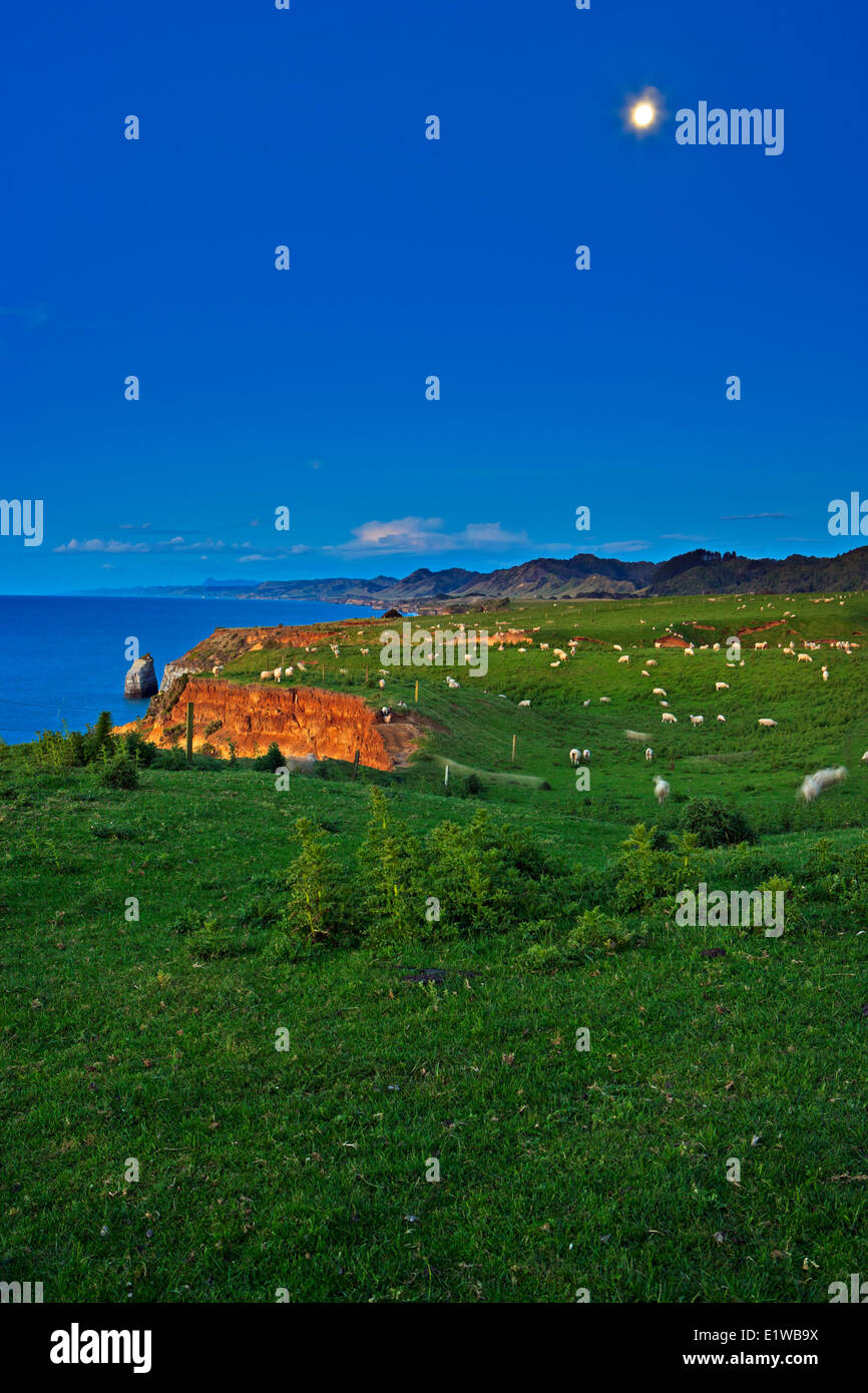 Taranaki images hi-res stock photography and images - Alamy