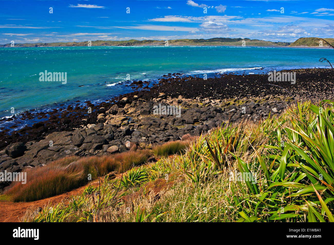 Manu Bay, Raglan, West Coast, Waikato, North Island, New Zealand Stock ...