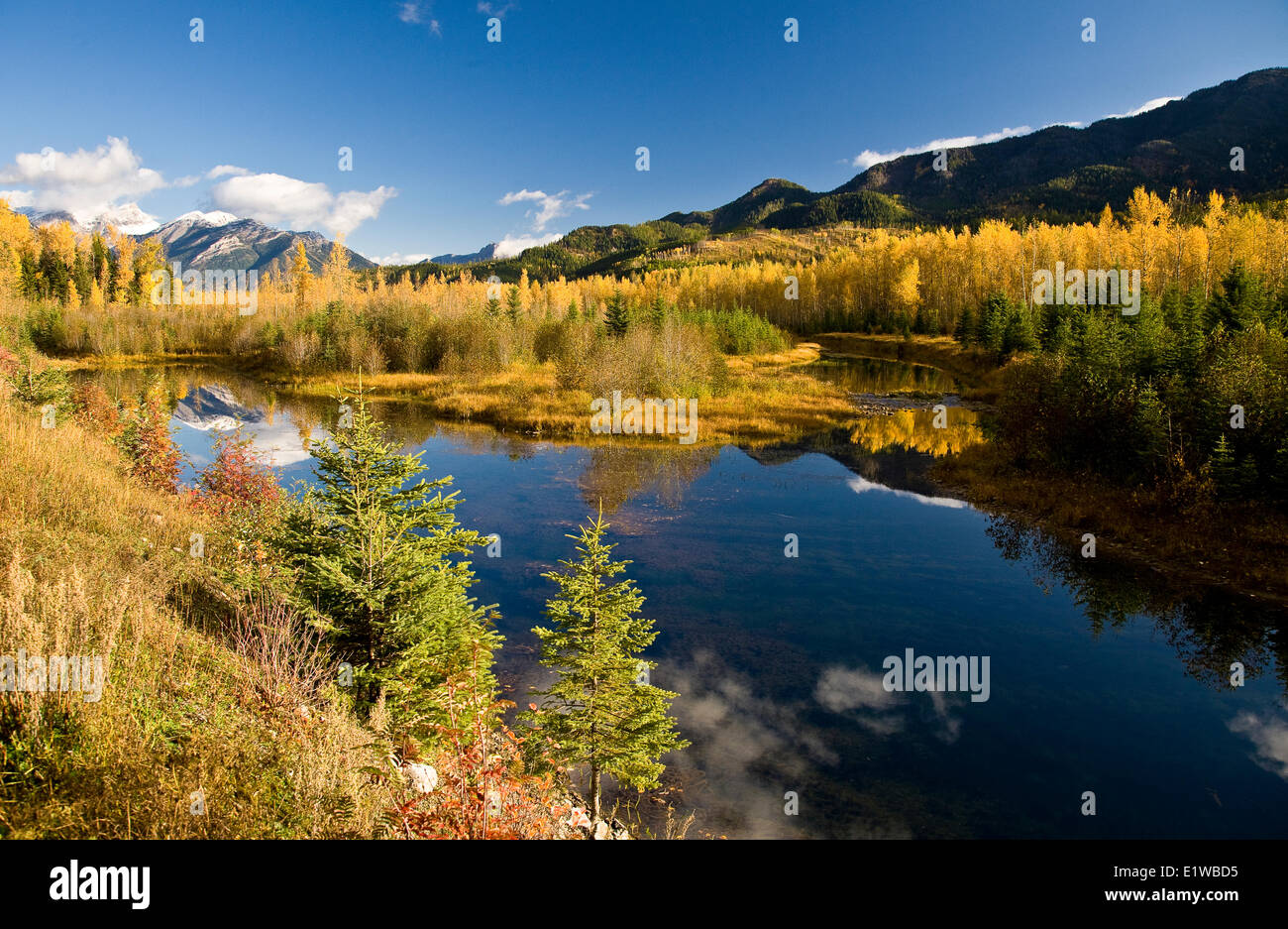 Elk valley bc hi-res stock photography and images - Alamy