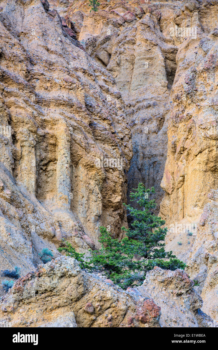 Fraser river canyon canada hi-res stock photography and images - Alamy