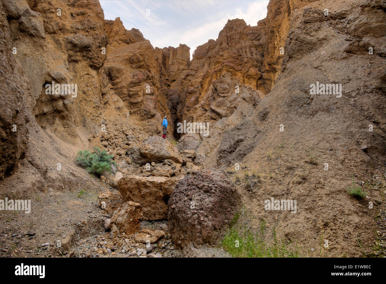 Fraser River Canyon, BC Grasslands, British Columbia, Canada Stock ...