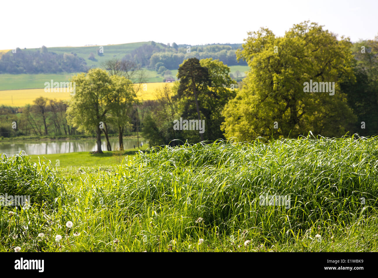 English countryside in may hi-res stock photography and images - Alamy