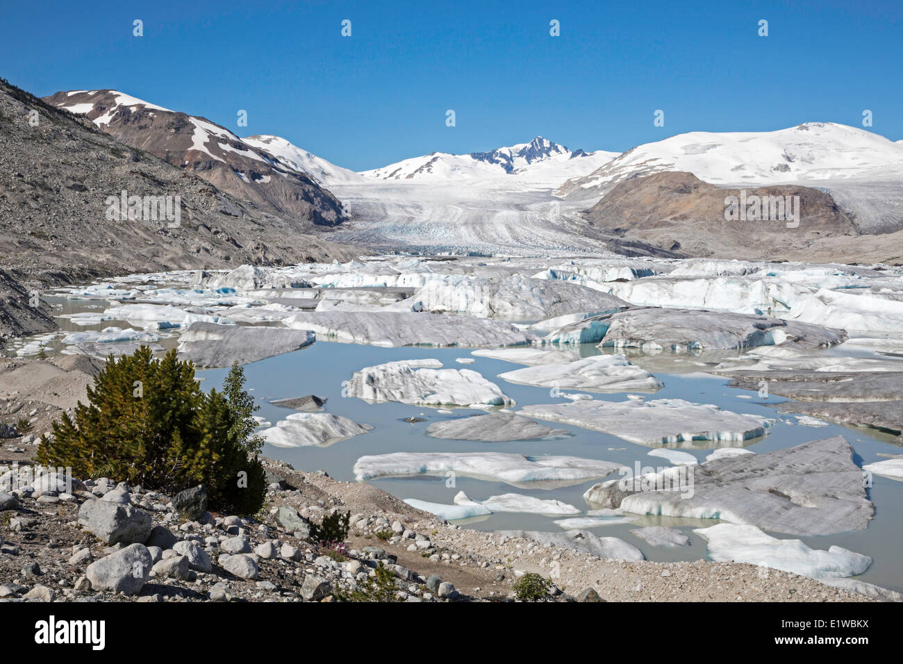 Icebergs, Bridge River Glacier, Chilcotin Ark, Coast Mountains, British ...