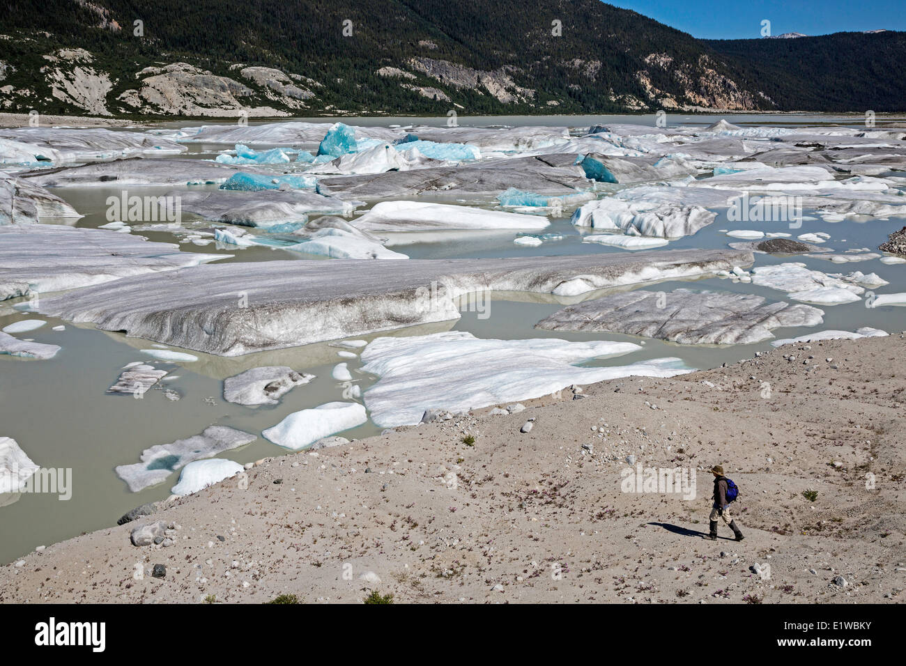 Hiking near icebergs, Bridge River Glacier, Chilcotin Ark, Coast ...