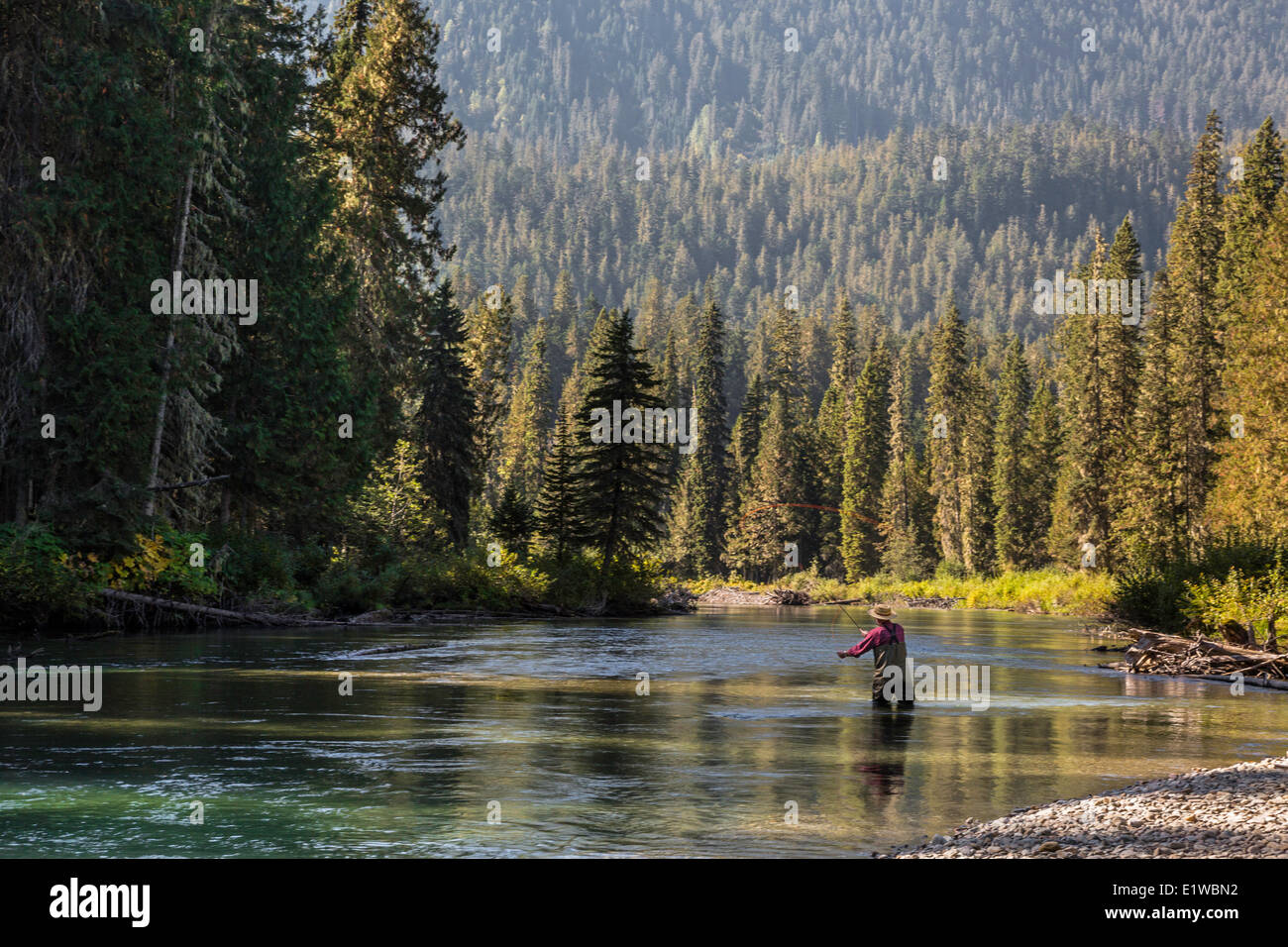 Fly fishing, Mitchell River, Cariboo Mountains, British Columbia ...
