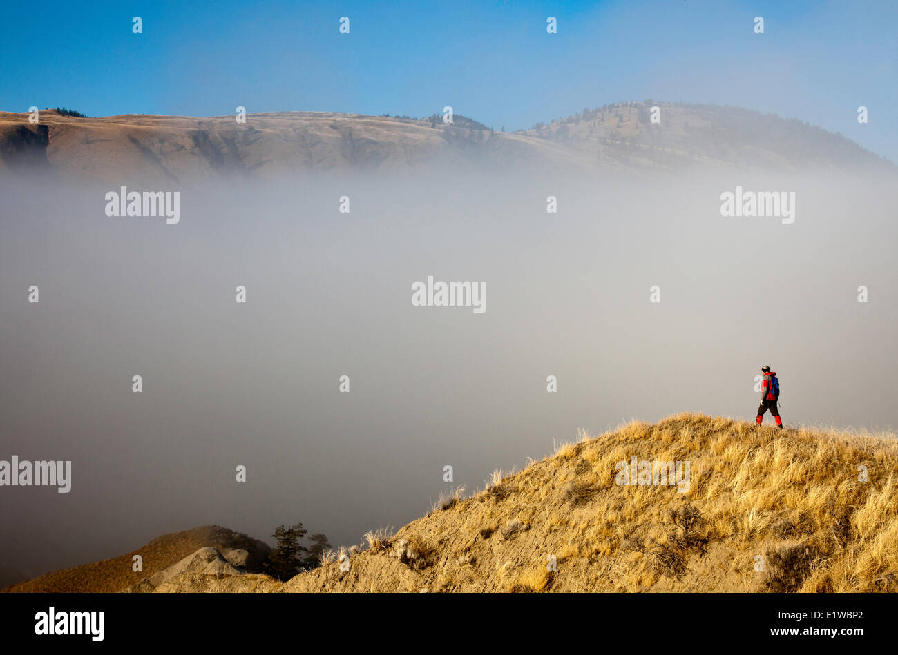 Hiking in the Chilcotin, BC Grasslands, British Columbia, Canada Stock ...
