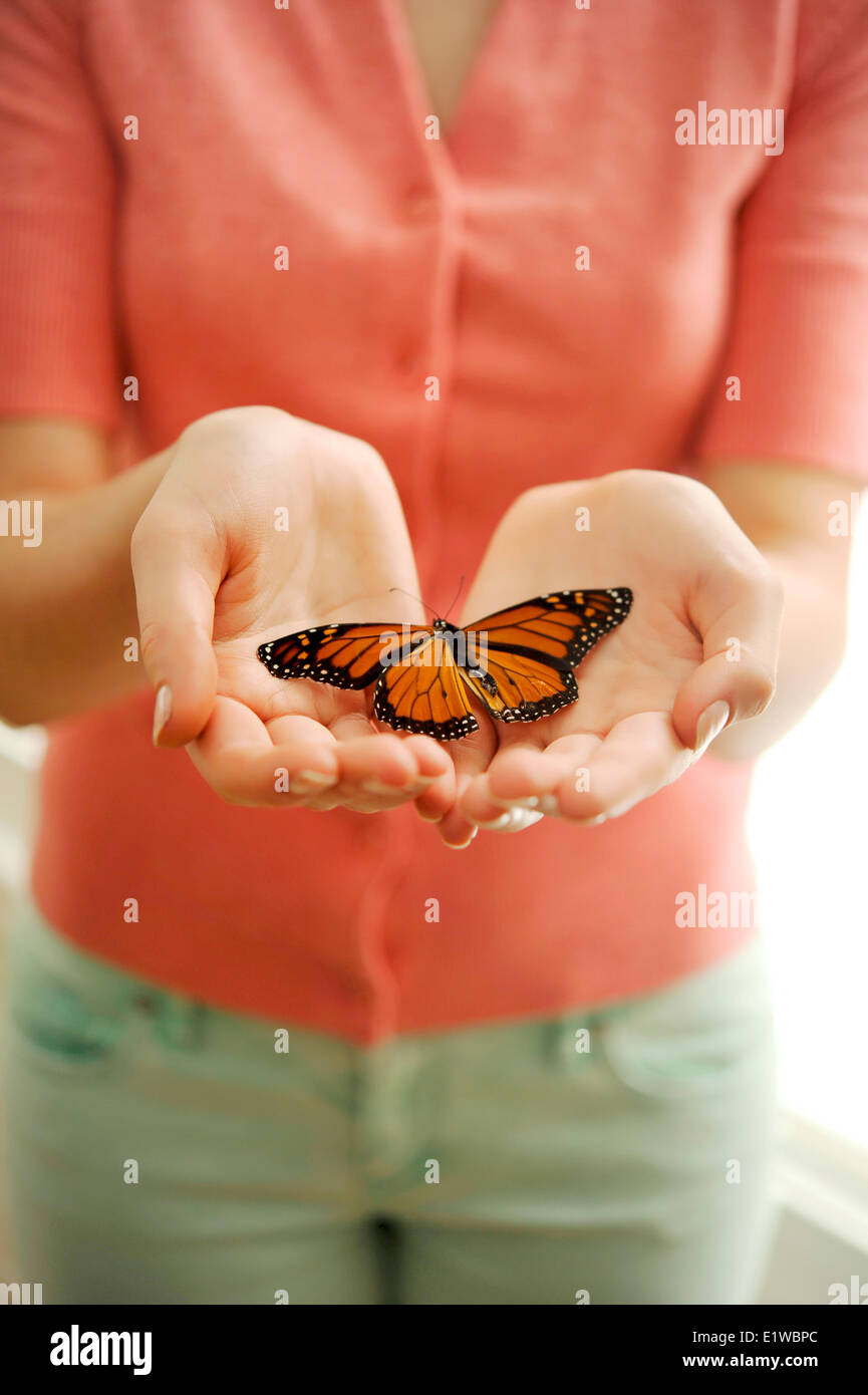 Girl holding butterfly hi-res stock photography and images - Alamy