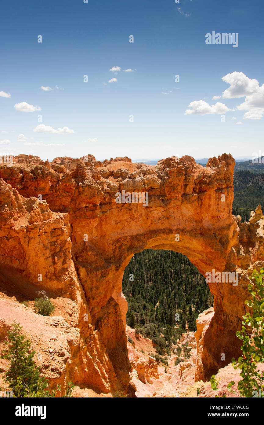 Natural Bridge, a natural arches in Bryce Canyon National Park, Utah ...