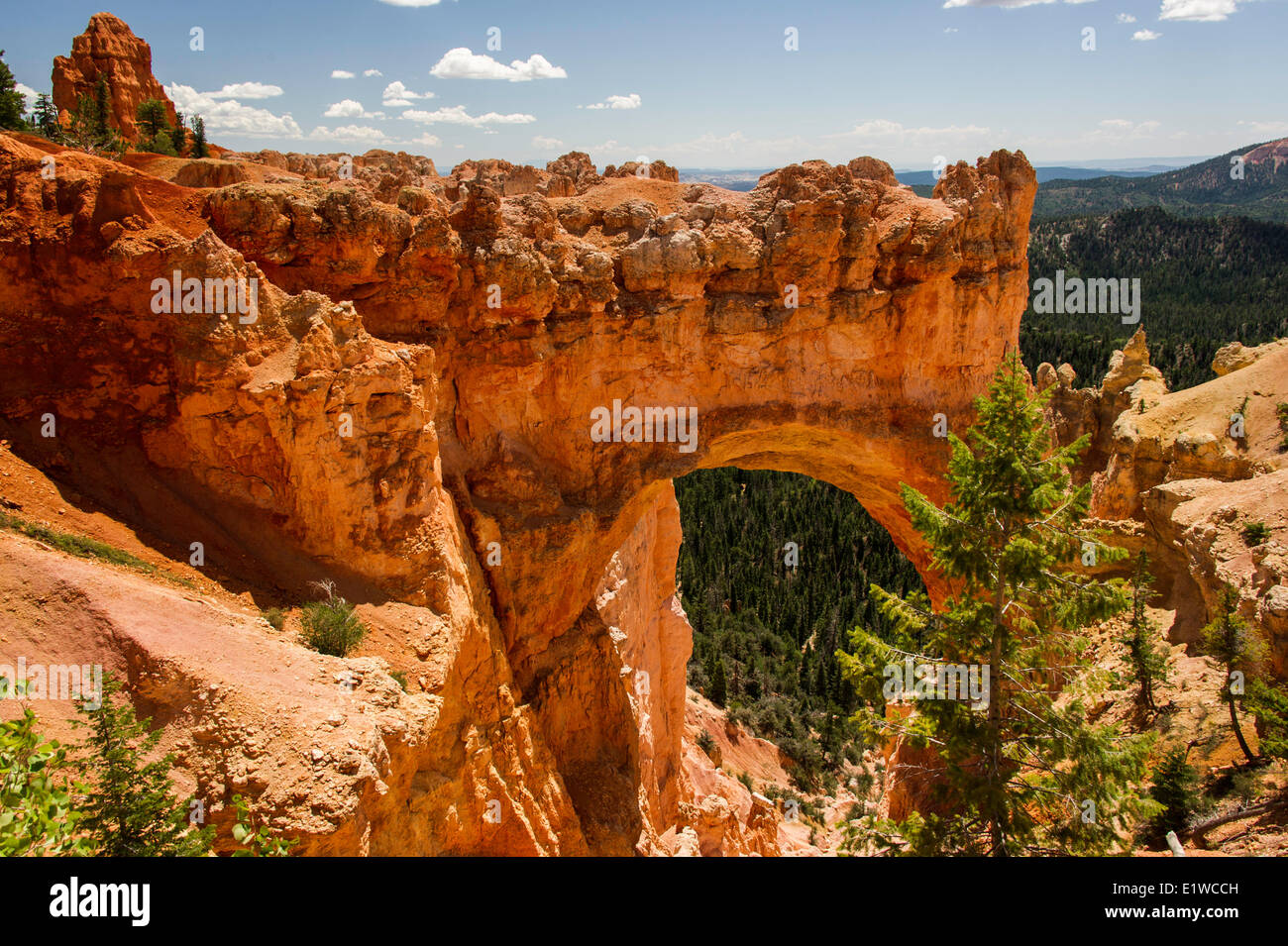 Natural Bridge, a natural arches in Bryce Canyon National Park, Utah ...
