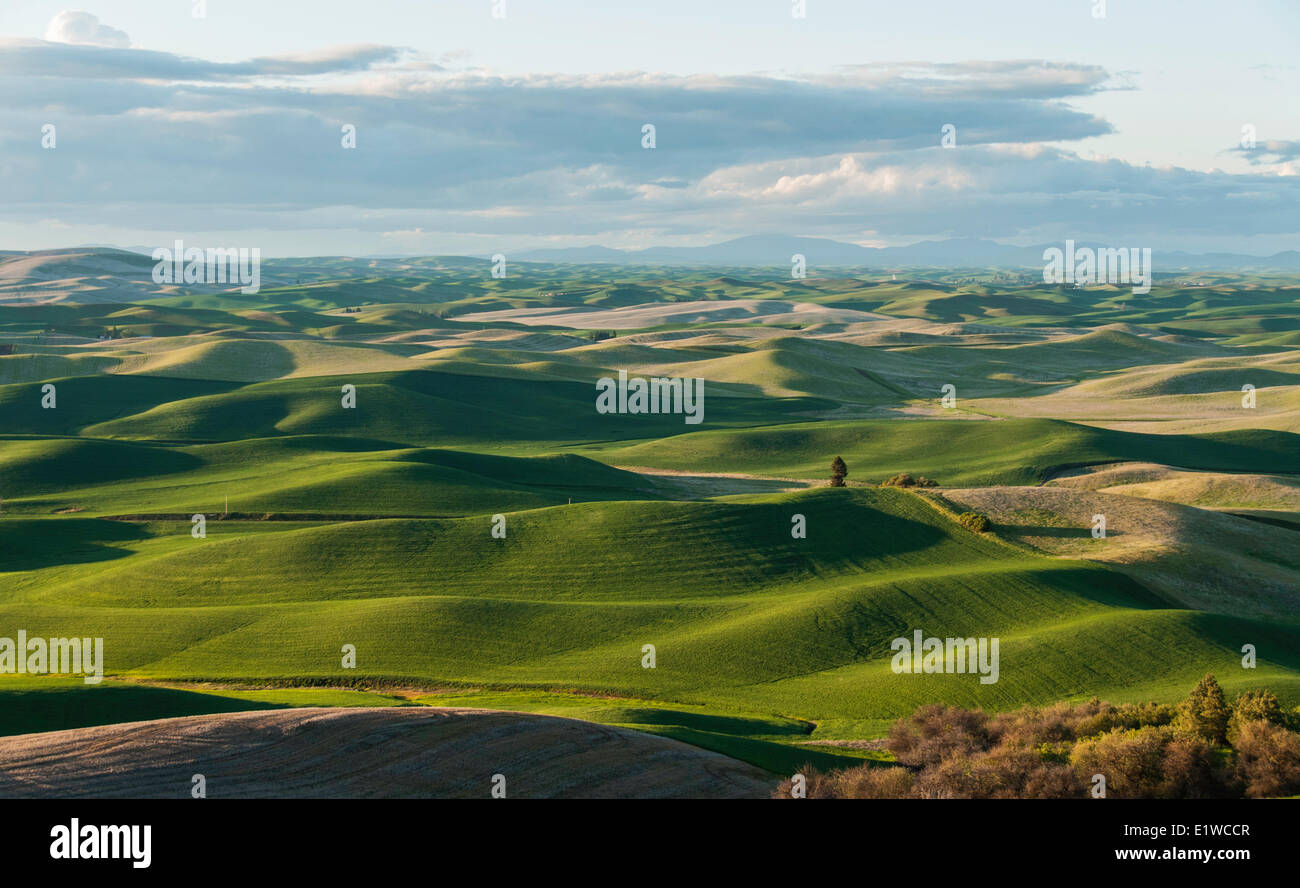 Oakesdale, Palouse, Southeastern Washington, United States of America ...